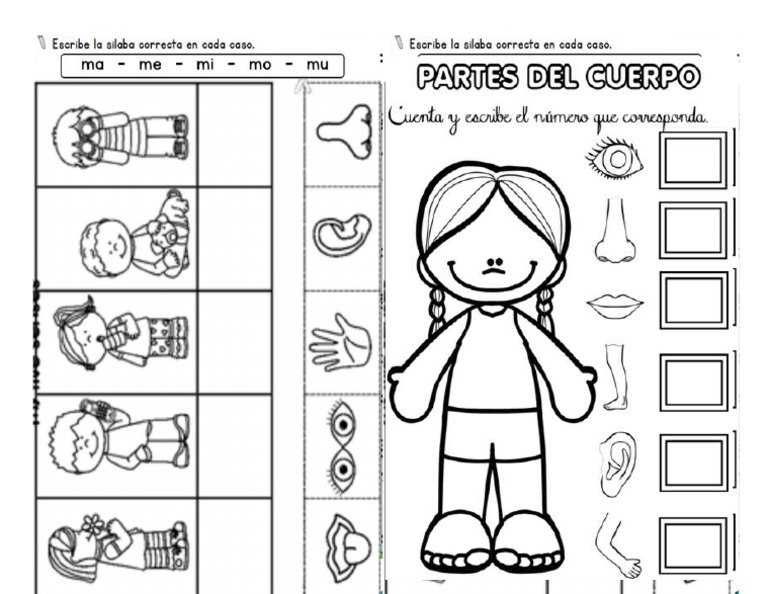 Anexos M y Partes | PDF