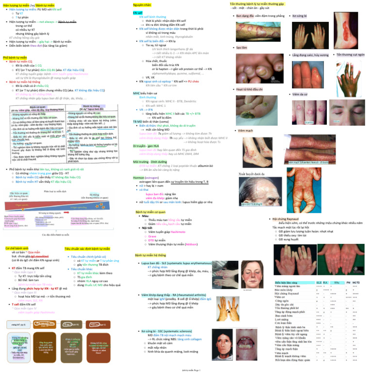 Bệnh tự miễn | PDF