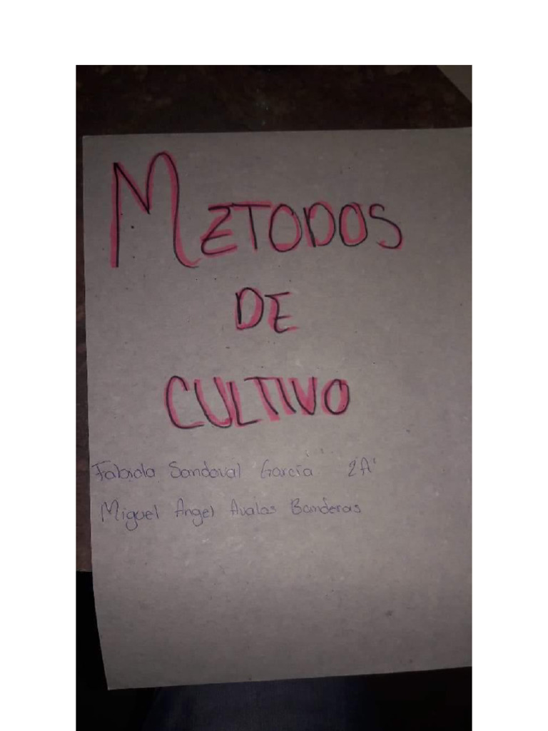 Fabiola Sandoval Garcia 2A | PDF