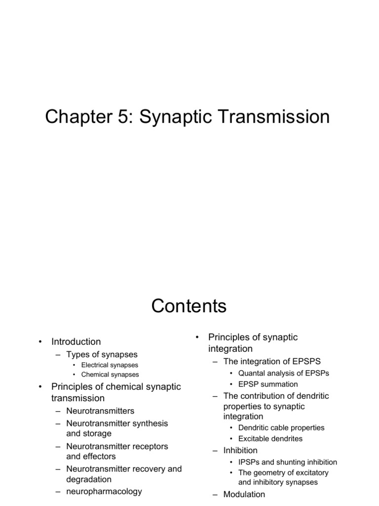Understanding Synaptic Transmission | PDF | Chemical Synapse ...