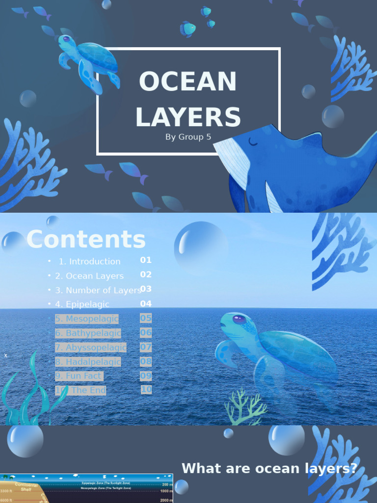 Understanding Ocean Layers Explained | PDF