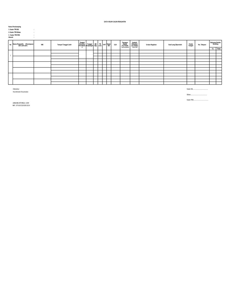Format Data Visum TPK | PDF