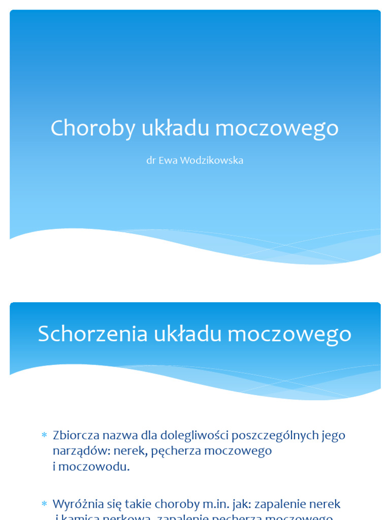 Choroby Nerek | PDF