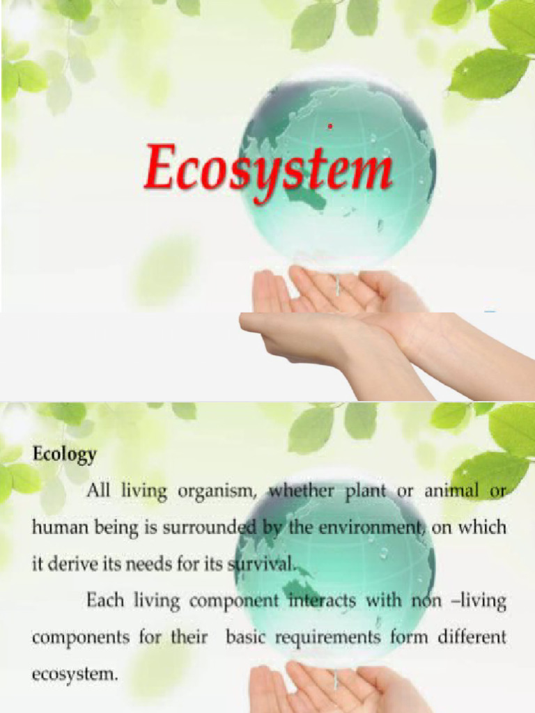 EVS - Unit 2 (Ecosystem) | PDF | Ecosystem | Aquatic Ecosystem