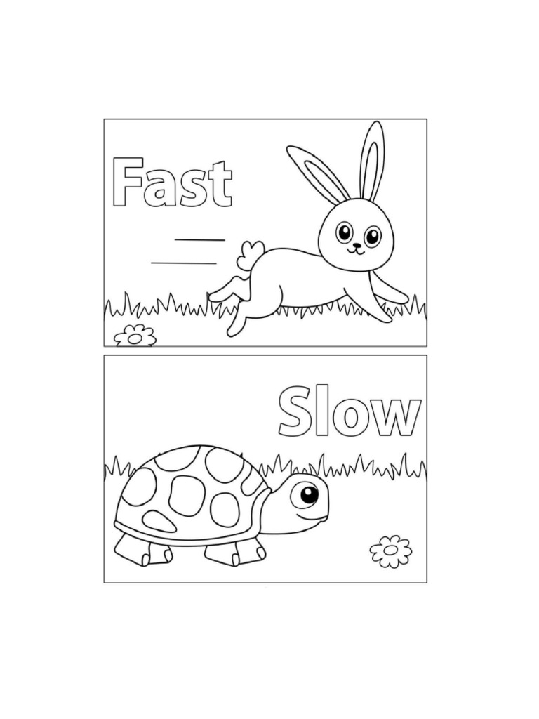 Opposite - Fast&Slow | PDF