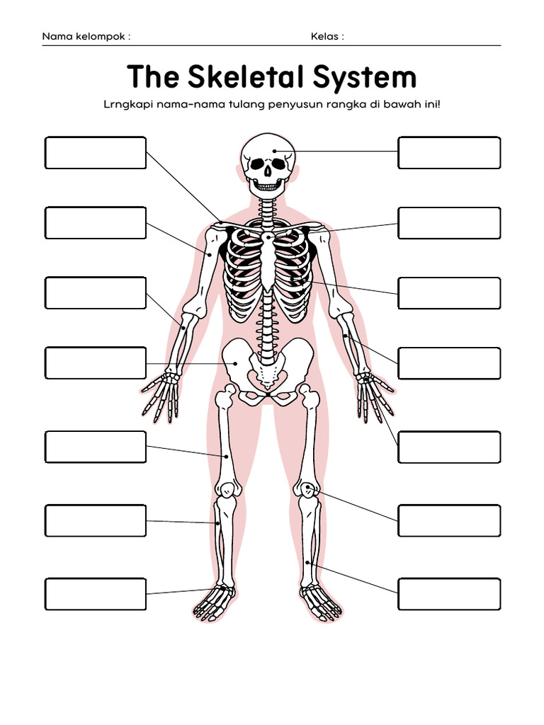 Skeletal System Worksheet in Colorful Simple Style_20250908_111108_0000 ...