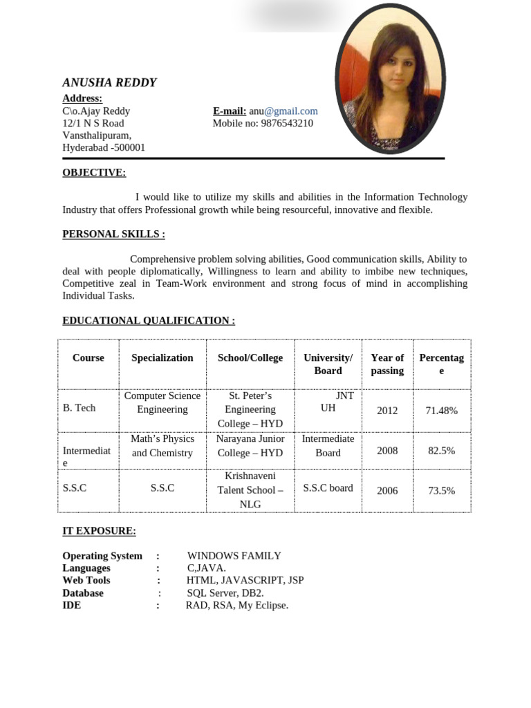 Professional Resume Format | PDF | Ibm Db2 | Software Engineering