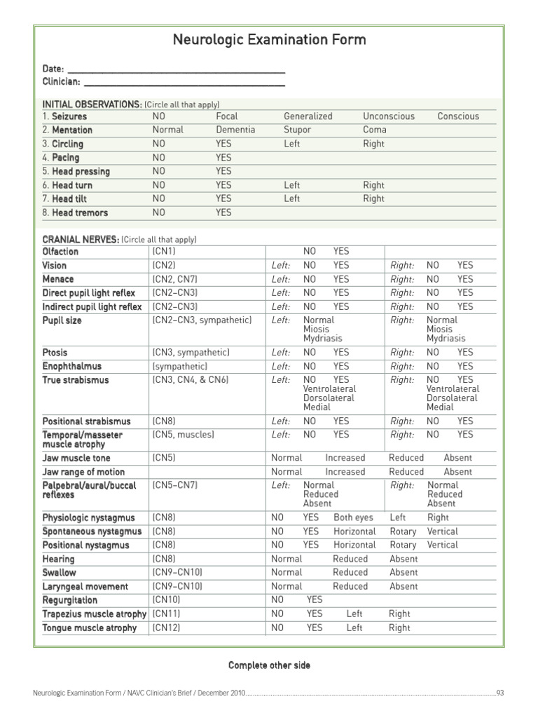 Neuro Form 4 1855 Article | PDF | Nervous System | Human Anatomy