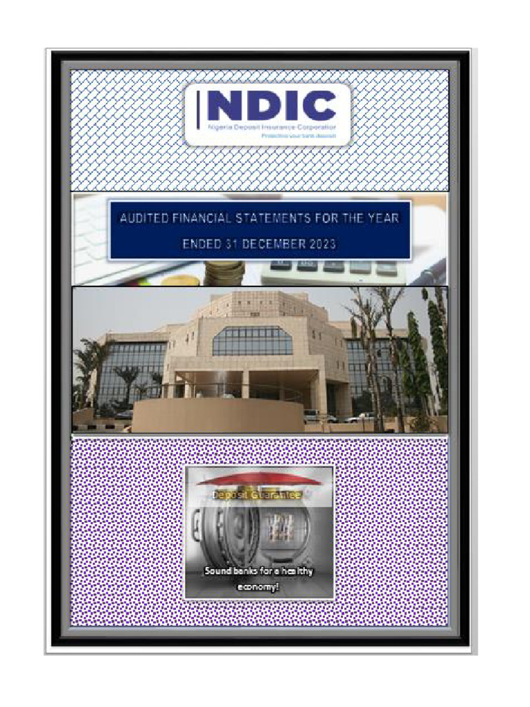 NDIC Annual Report 2023 Summary | PDF | Going Concern | Audit
