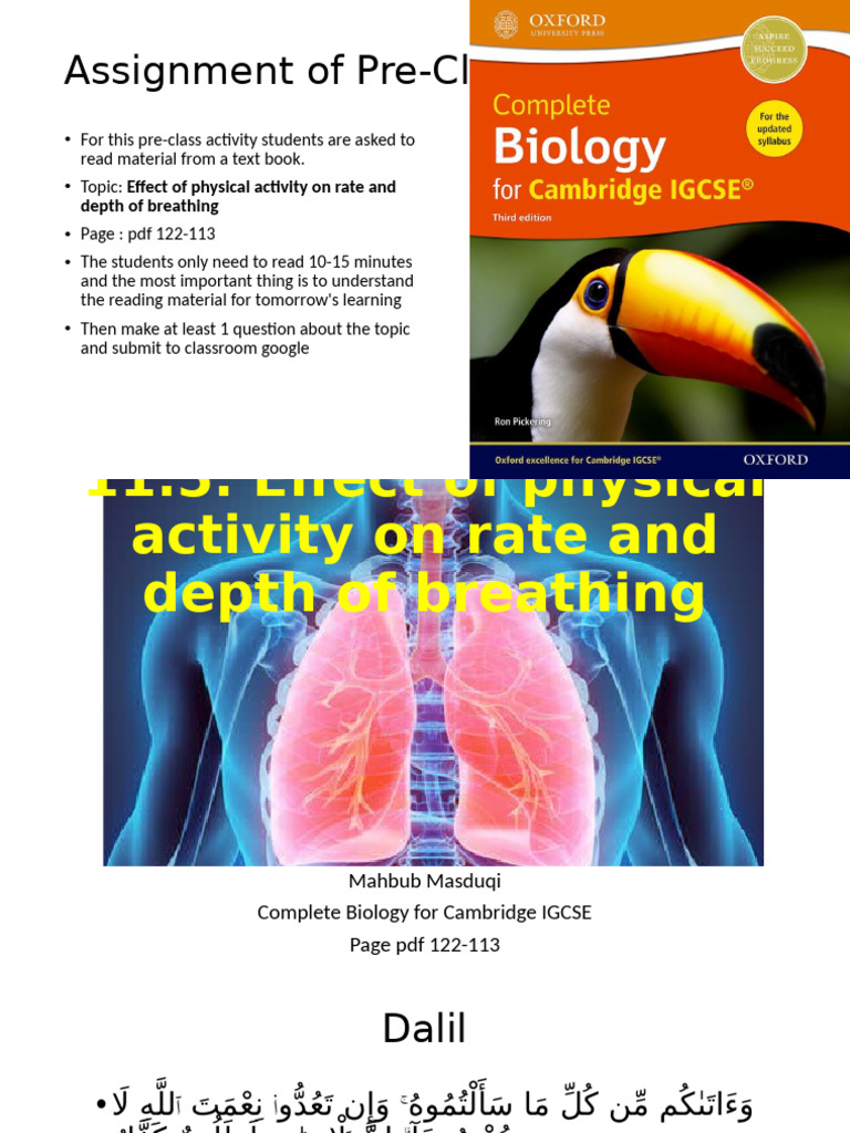 11.5 Effect of Physical Activity On Rate and Depth of Breathing | PDF ...