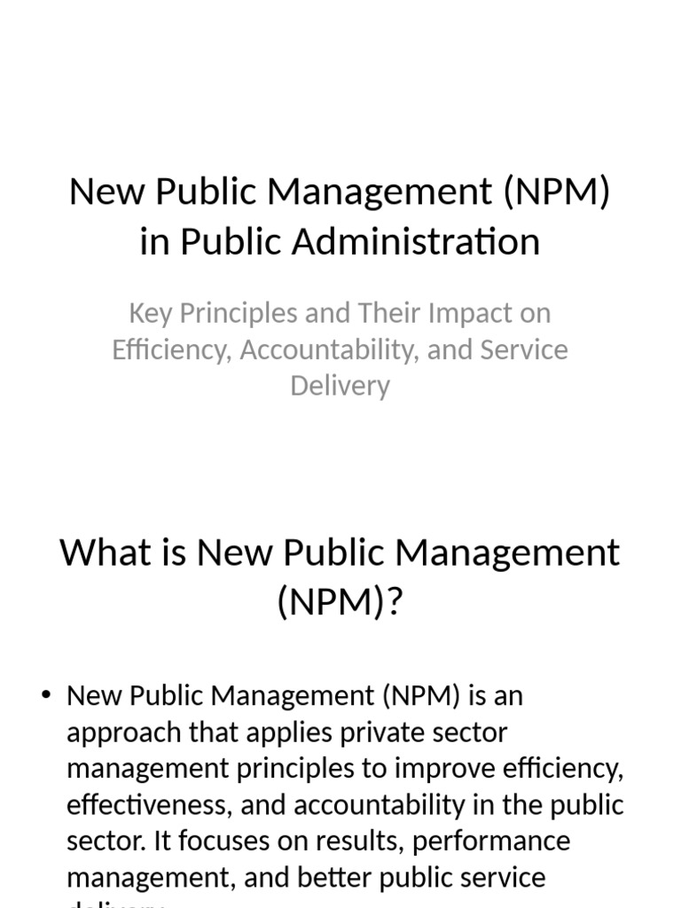 New Public Management NPM | PDF