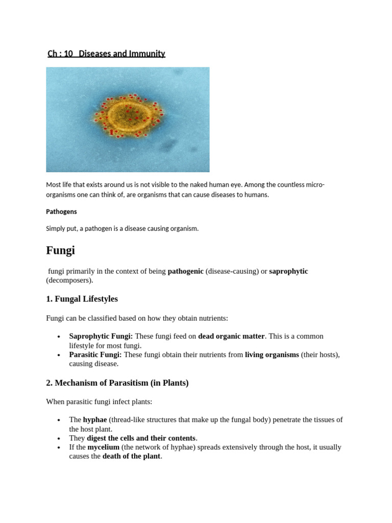 CH 10 Diseases and Immunity | PDF | Immune System | Lymphocyte