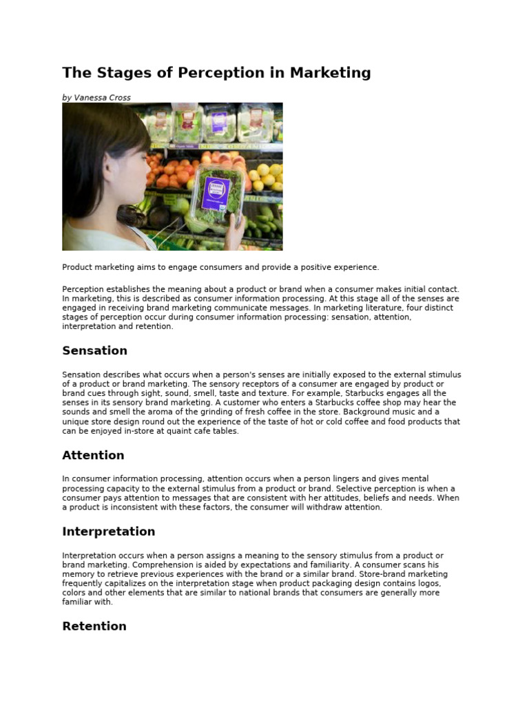Stages of Perception in Marketing | PDF