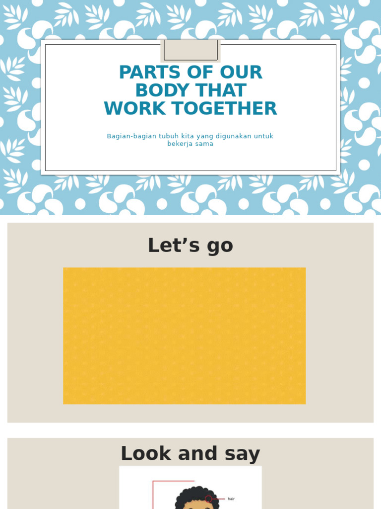 Kelas 5 Part of Body | PDF