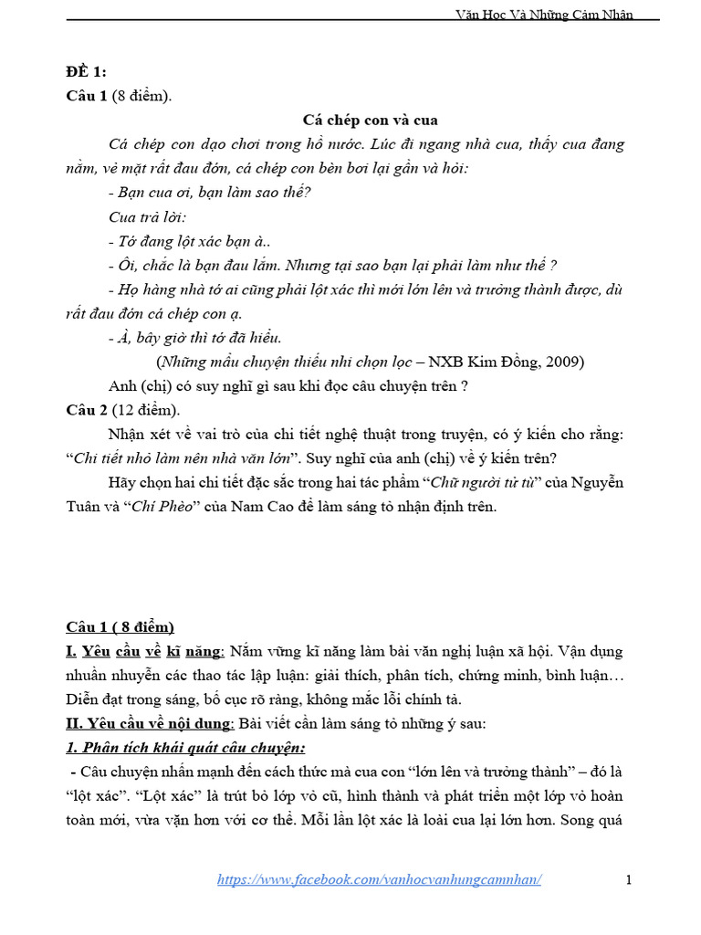 Bo de HSG Ngu Van 11 | PDF