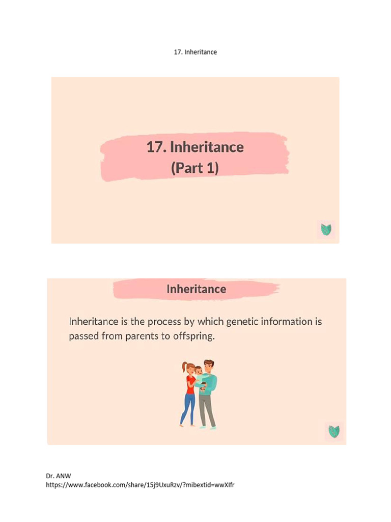 Inheritance With MCQs | PDF | Dominance (Genetics) | Genotype