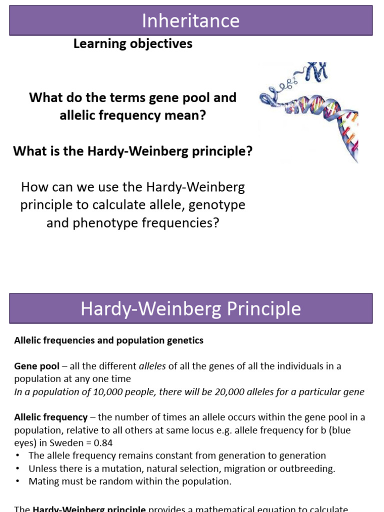 Hardy Weinberg Equation | PDF | Allele | Biological Concepts