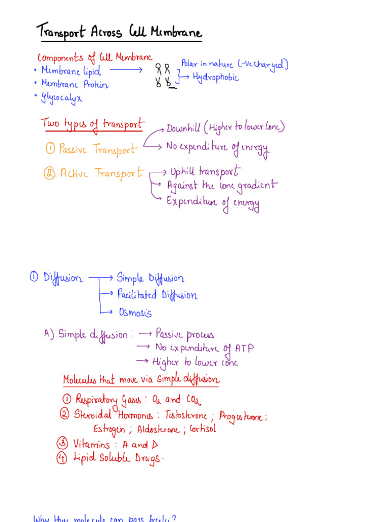 Transport Across Cell Membrane (Passive Transport) | PDF | Cell ...