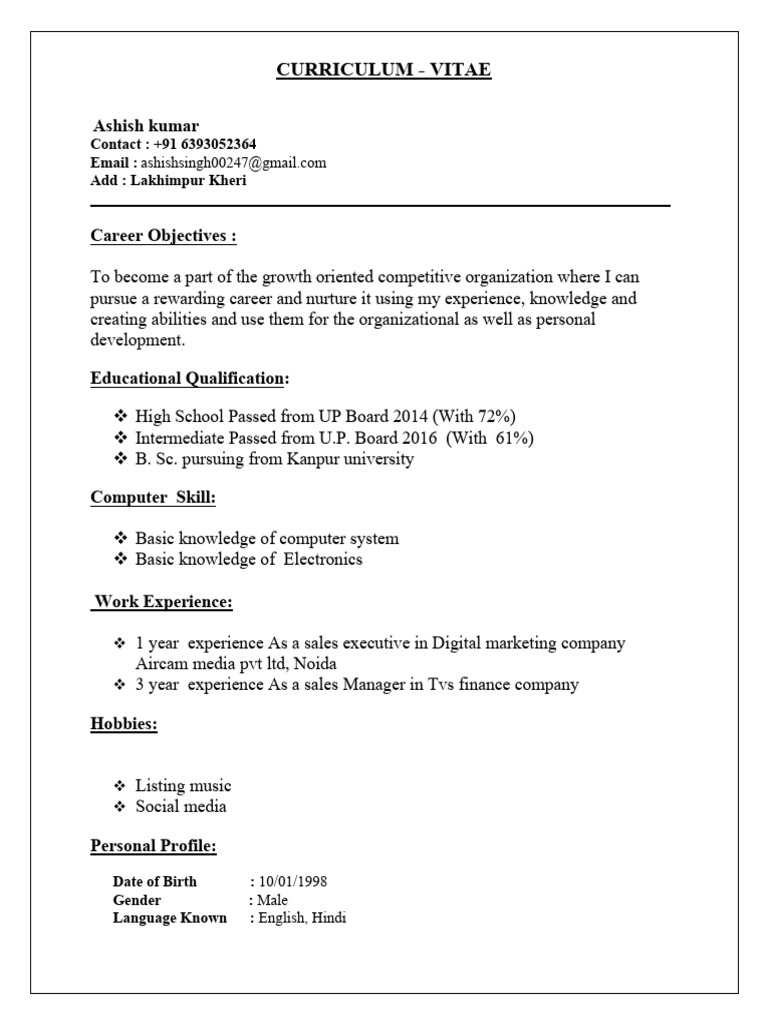 Ashish Kumar's Professional CV | PDF