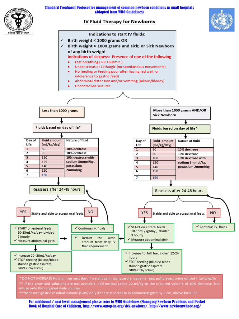 Newborn IV Fluid Therapy Protocol | PDF | Intravenous Therapy ...