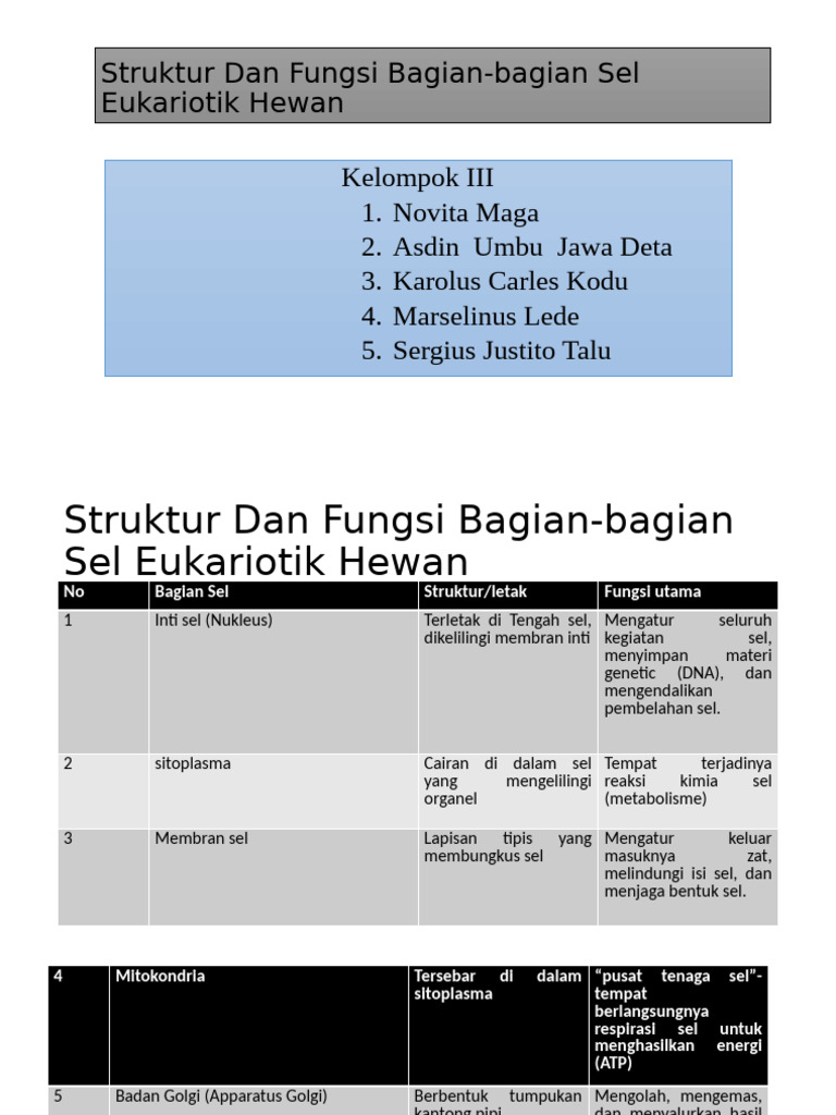 Struktur Dan Fungsi Bagian-Bagian Sel Eukariotik Hewan | PDF