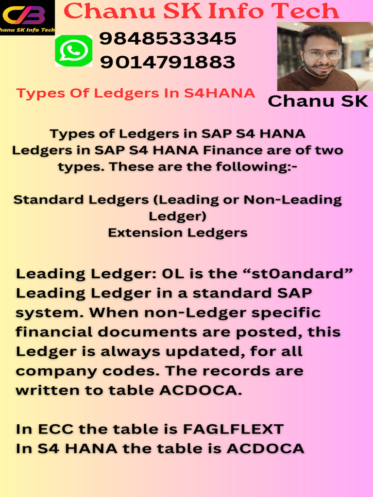 Types of Ledgers in S4HANA Explained | PDF