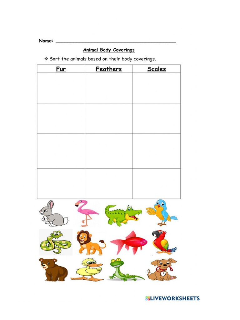 Fur Feather Scales Zoo Animals | PDF