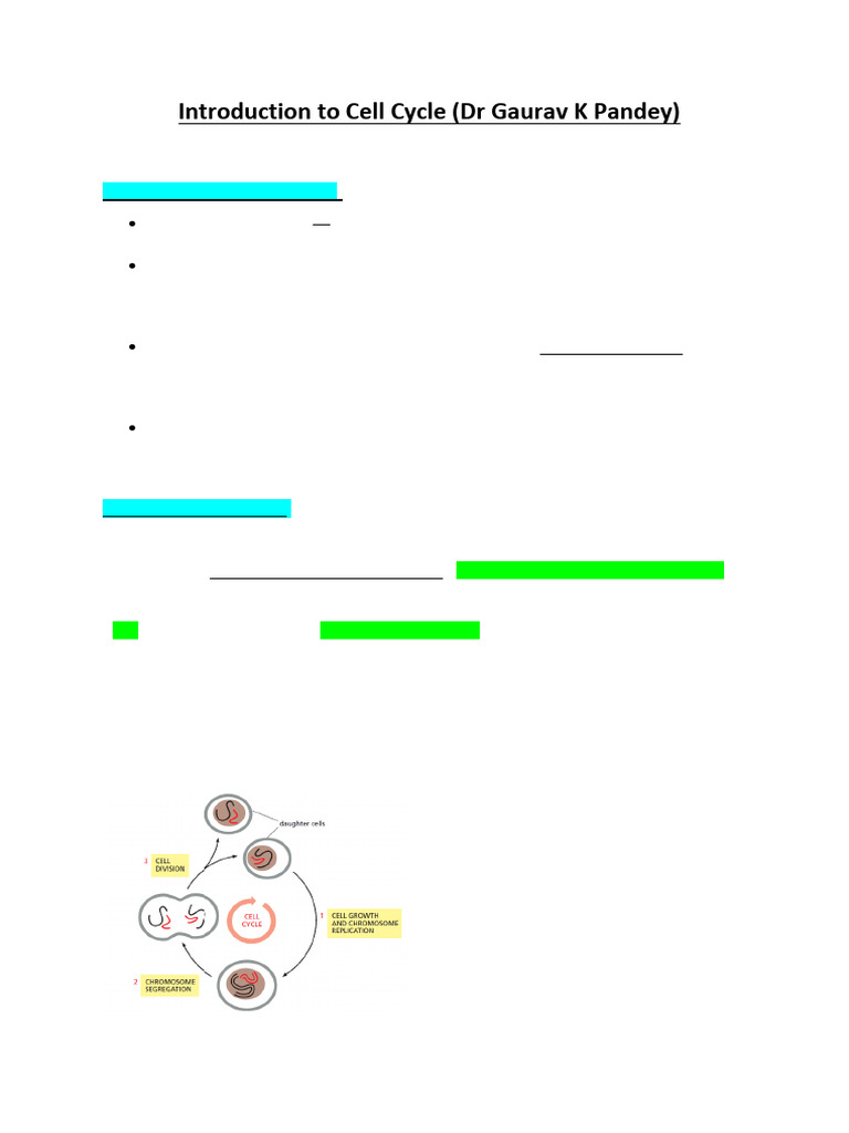 Understanding the Cell Cycle Process | PDF | Cell Cycle | Mitosis