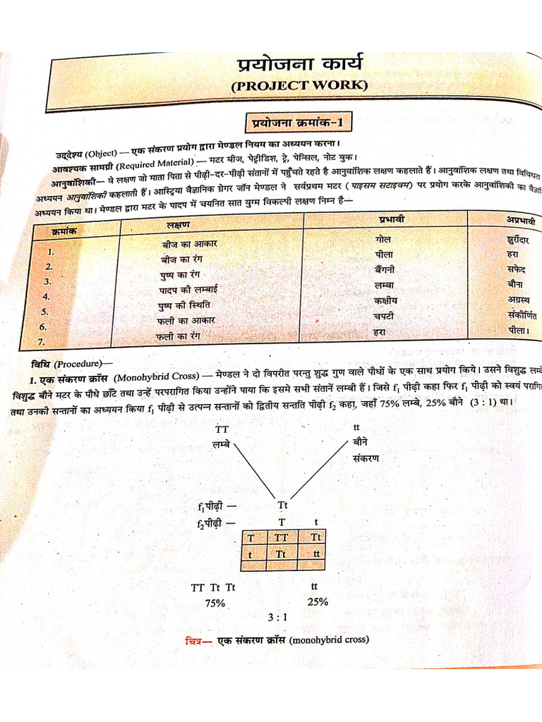 Class 12th Biology Project | PDF