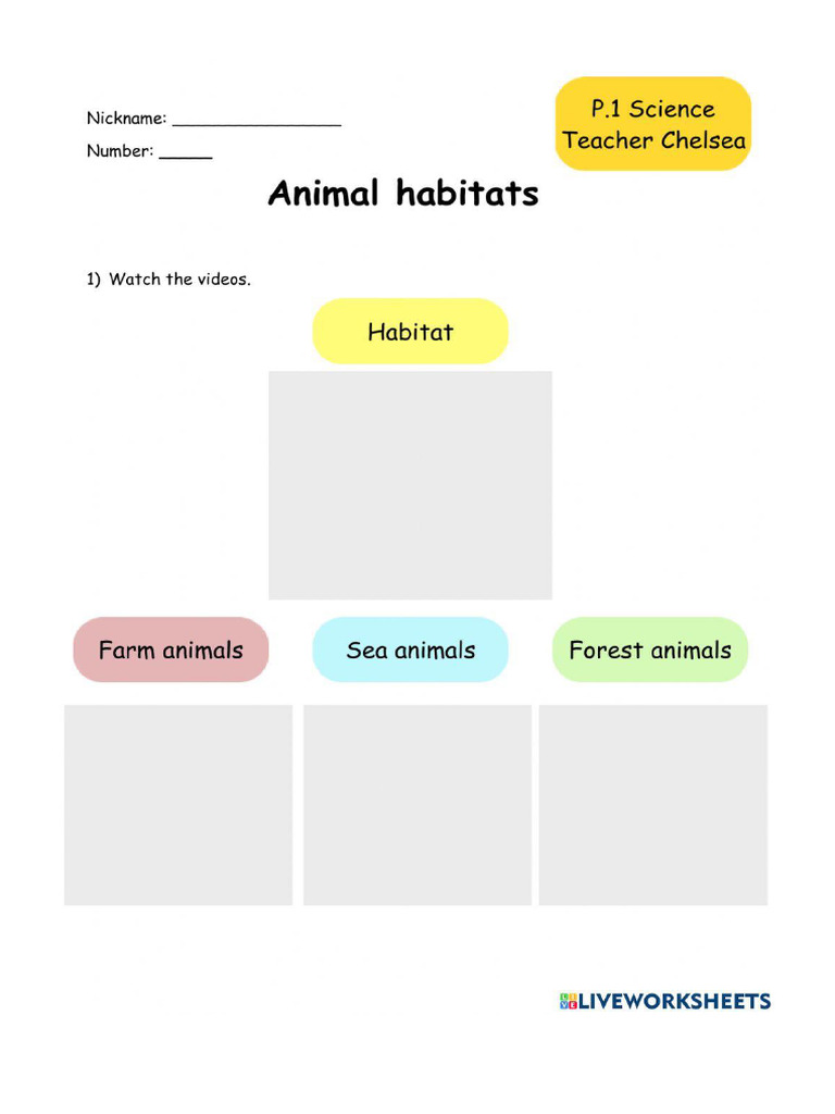 Classify The Animals According Their Habitats | PDF
