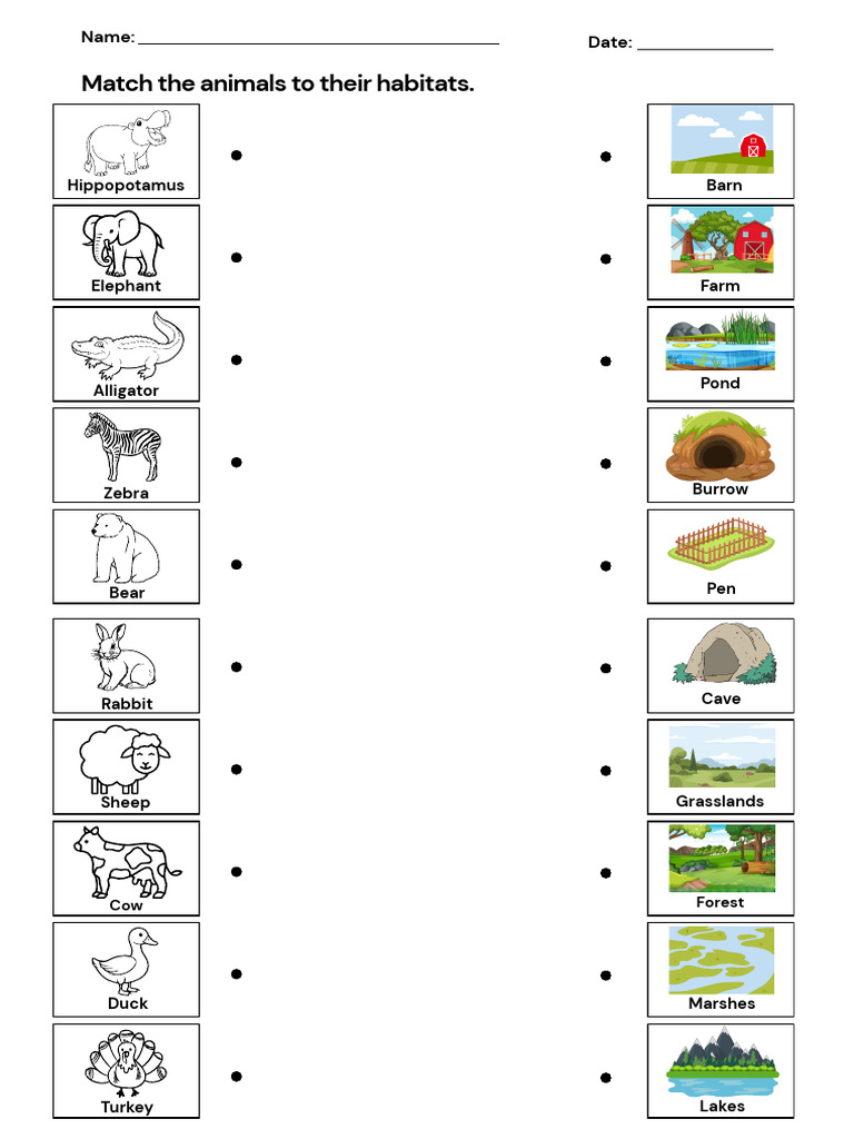 Match The Animals To Their Habitats | PDF