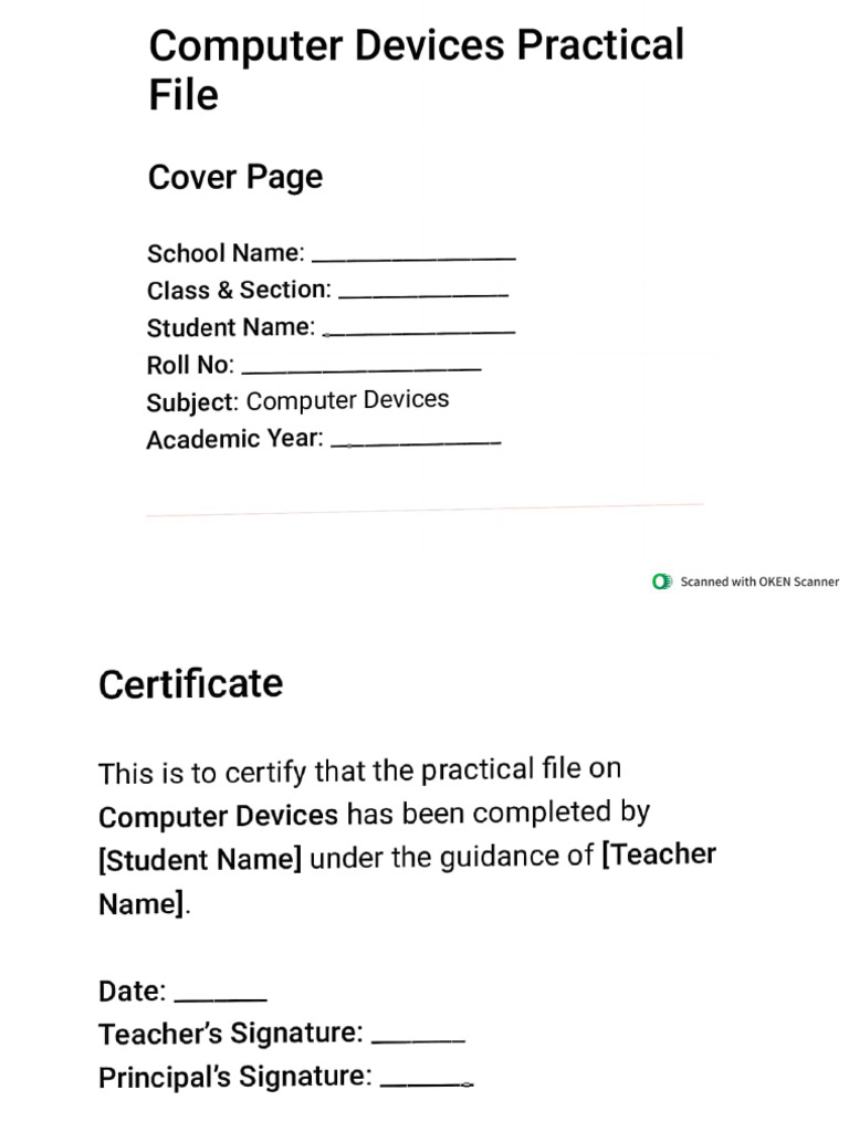 Class 9 Practical File | PDF