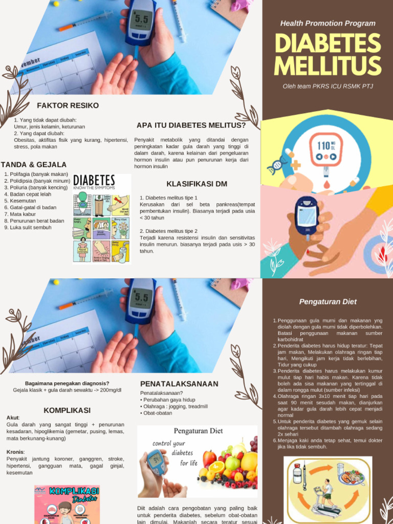 Leaflet Pkrs DM Icu 23 Nov 2024 | PDF