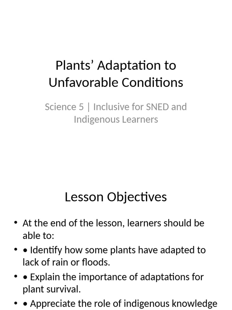 Creative Science5 Plant Adaptations Activities | PDF | Rice | Plants