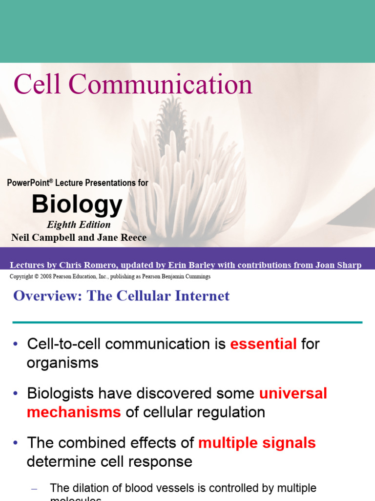 Lecture 4 - Cell Communication | PDF | Cell Signaling | Signal Transduction