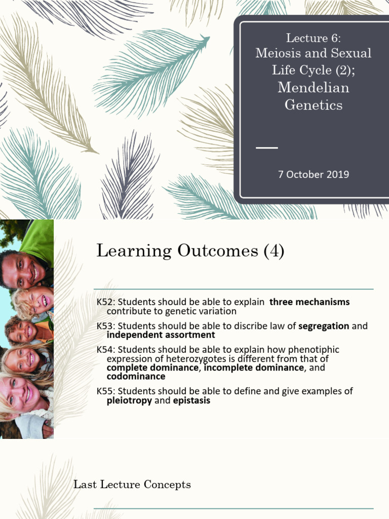 Lec 6 SLifeCy Mendel 7oct19 SC | PDF | Dominance (Genetics) | Meiosis