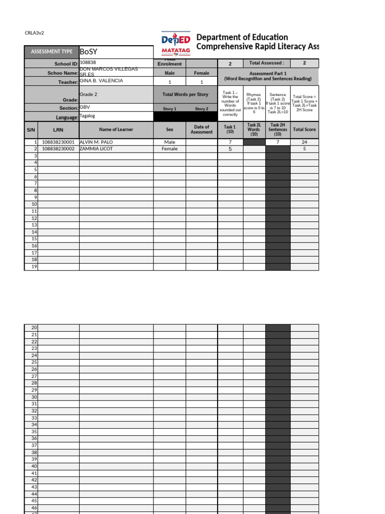 Grade 2 Literacy Assessment Report | PDF | Reading Comprehension ...