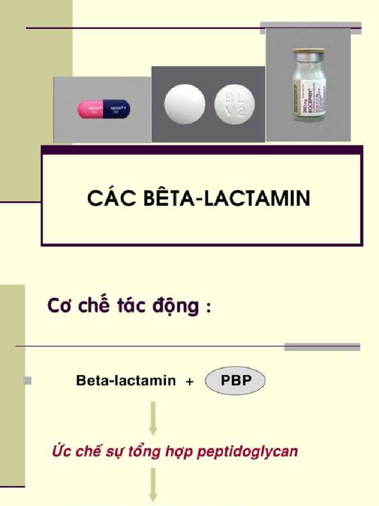 Beta Lactam | PDF