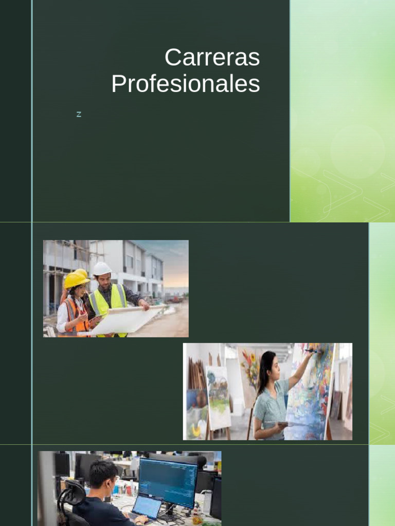 Carreras Profesionales | PDF