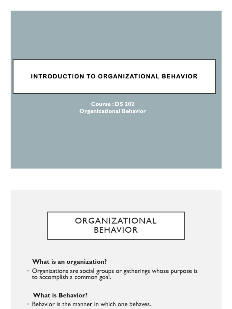 Fundamentals of OB - PPT PDF | PDF | Organizational Behavior | Psychology