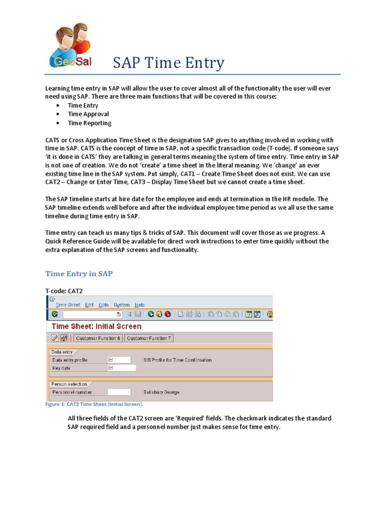 SAP Time Entry Guide: CATS Overview | PDF | Areas Of Computer Science ...