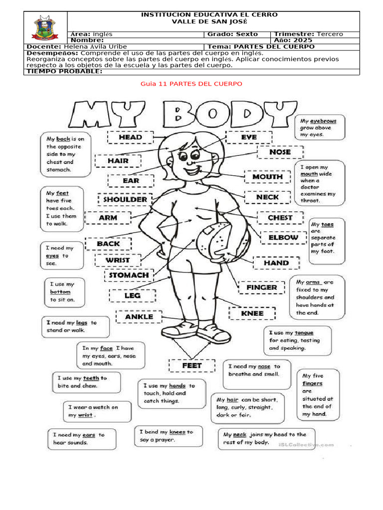 Guia #27 - Partes Del Cuerpo | PDF