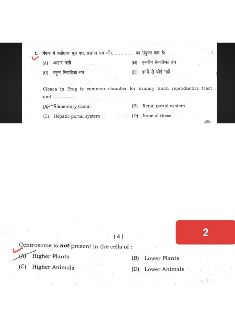 Class 11 Bio Sample Paper | PDF