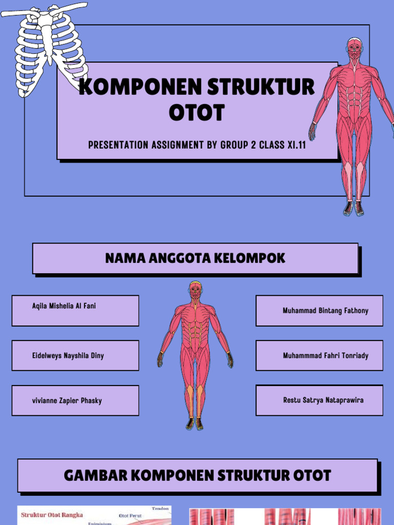 Komponen Struktur Otot Lurik | PDF