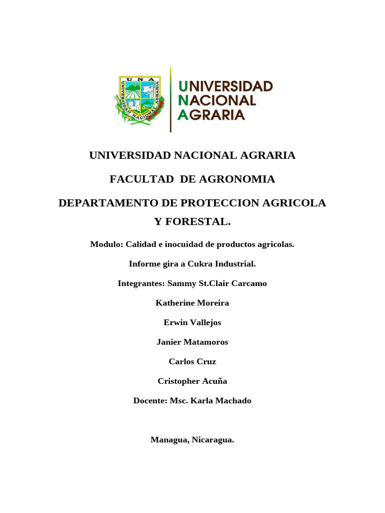 Informe sobre Calidad en Cukra Industrial | PDF