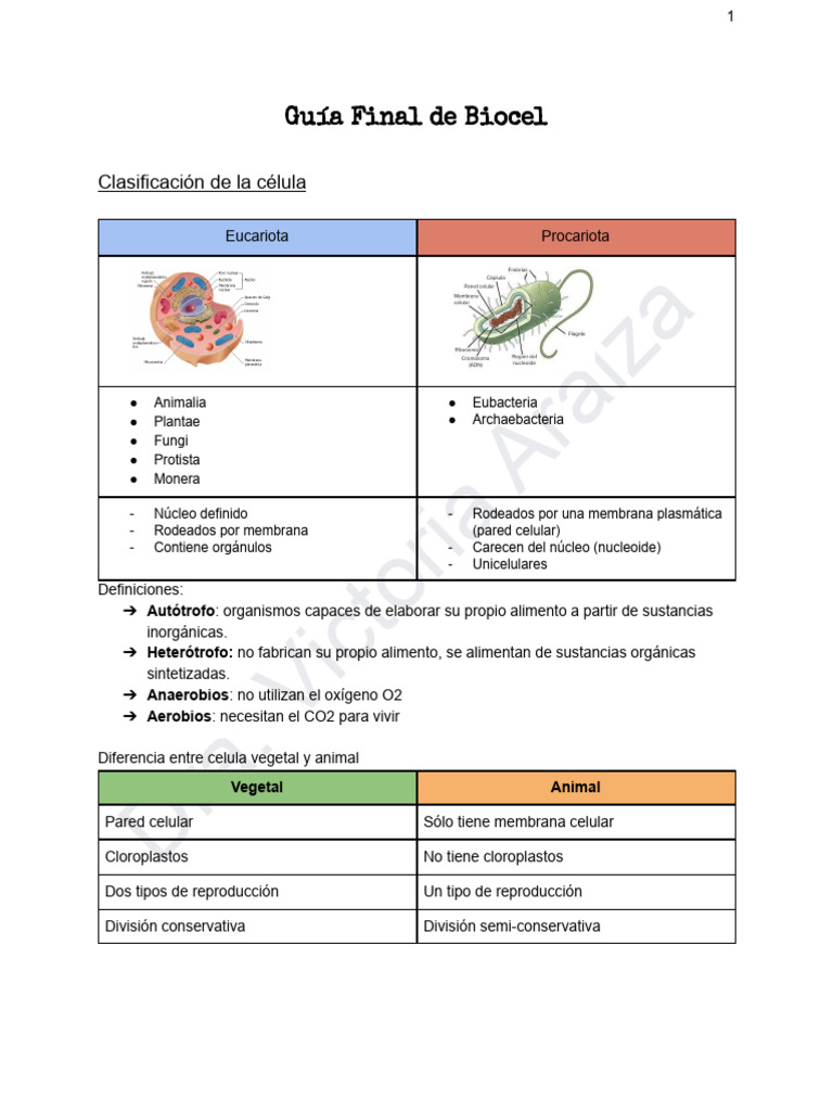 Copia de Guía Final de Biocel-1-8 | PDF | Membrana biológica | Lípido
