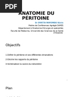 Anatomie des gouttières pariéto-coliques | PDF | Péritoine | Foie