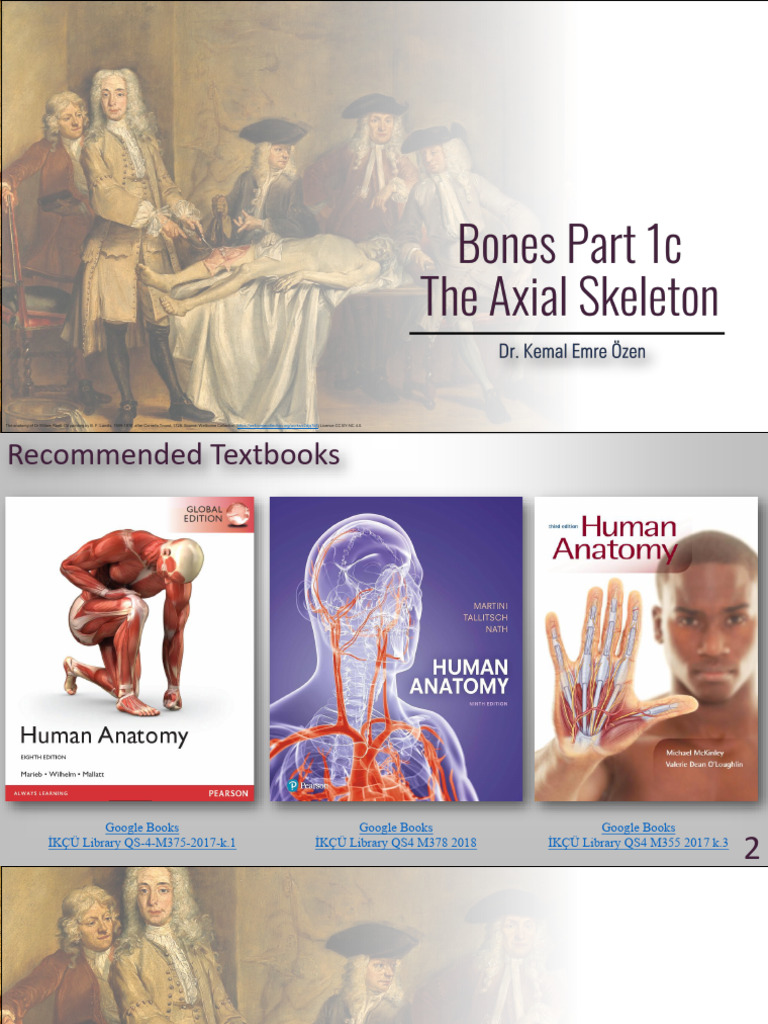 06 Bones Part 1d The Axial Skeleton (Marieb Chapter 7 IV) The Vertebral ...