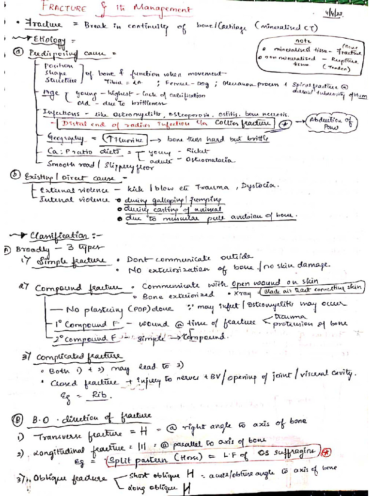 Fracture and Lameness | PDF