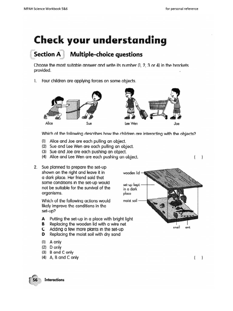 A4 Science Homework - Check Your Understanding | PDF